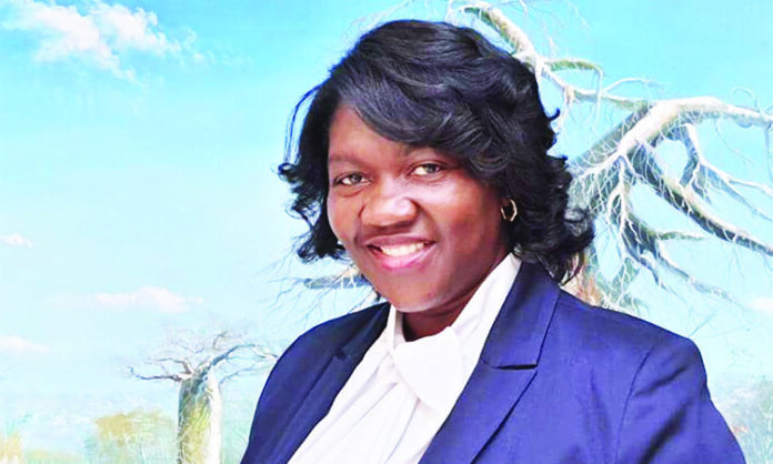 Senior Govt officials ‘sidestep’ Public Service Act - News - The Namibian