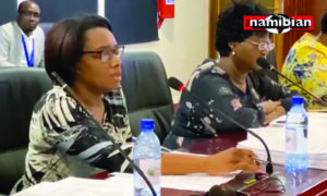 Presidency employees given unlimited credit cards - News - The Namibian