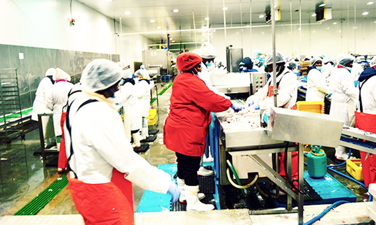 Fishcor’s financial woes continue - News - The Namibian