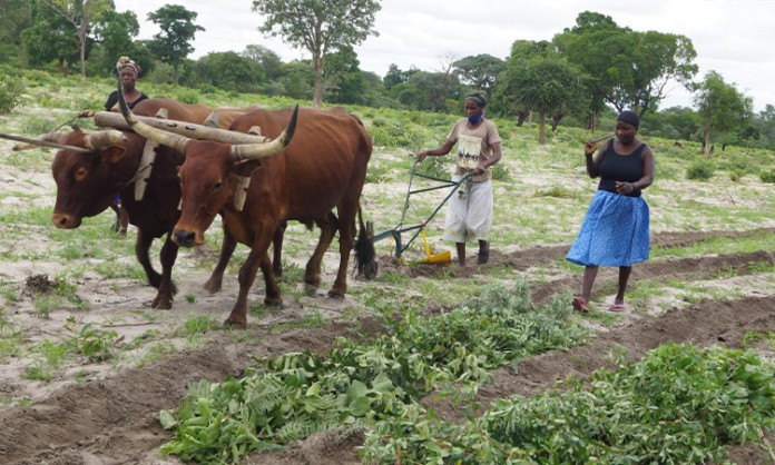 The Impact of Rural-Urban Migration on Agriculture - Business - The ...