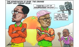 Cartoons Archives - The Namibian