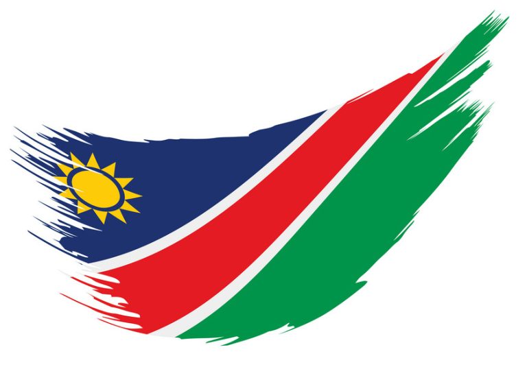 The Namibian