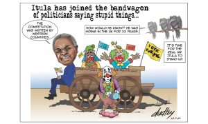 Cartoons Archives - The Namibian