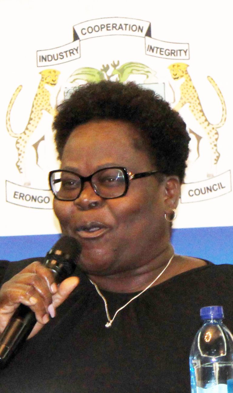 Erongo council unveils N$157 million budget - News - The Namibian