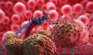 Kamwi warns of malaria surge amid declining prevention efforts - News ...