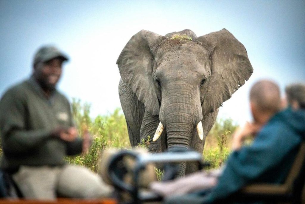 Over N$45 million paid to victims of human-wildlife conflict - News ...