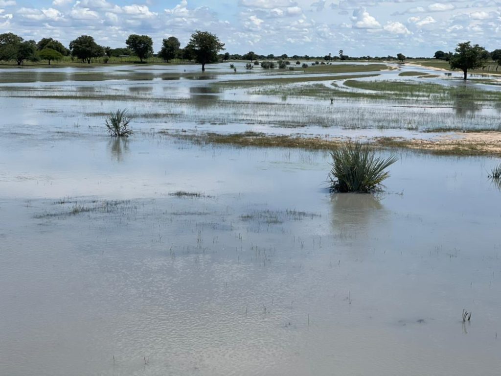 Hydrologist warns of flood dangers in Cuvelai-Etosha Basin - News - The ...