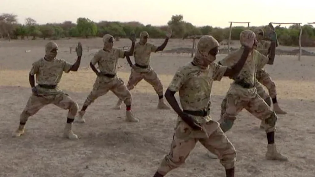 How an al-Qaeda offshoot became one of Africa's deadliest militant ...