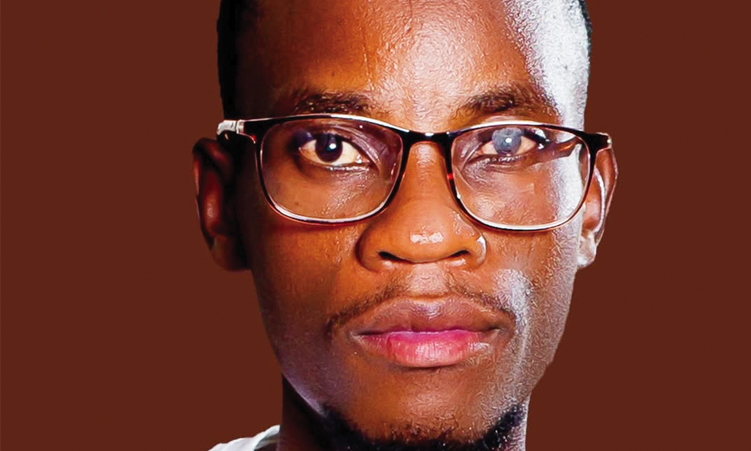 When Public Trust Becomes Collateral Damage - Opinion - The Namibian