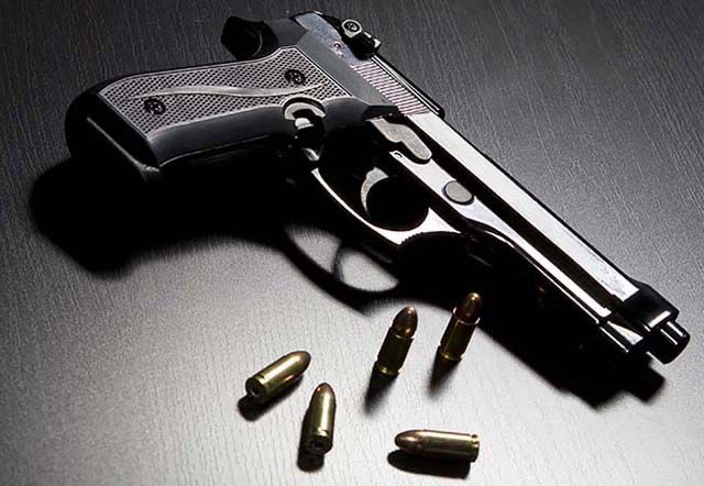 Zambezi police to assess gun licence approval - News - The Namibian