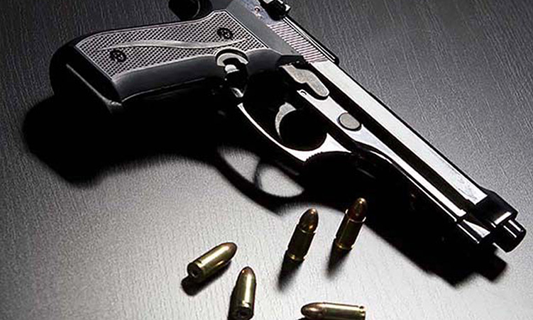 Erongo police announces firearms amnesty - News - The Namibian
