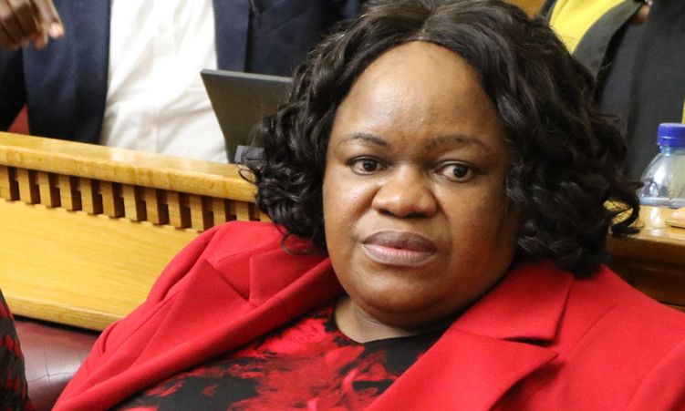 Home affairs minister calls for timely birth registrations at hospitals ...