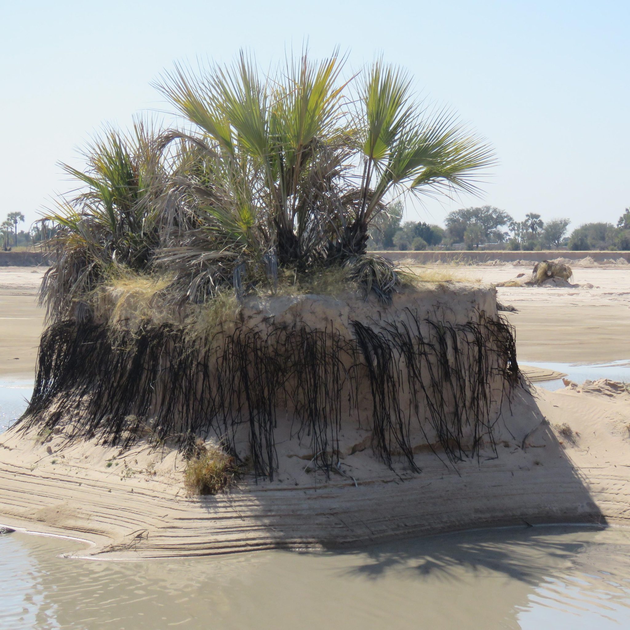 Onatshiku residents call for halt to sand mining at village - News ...