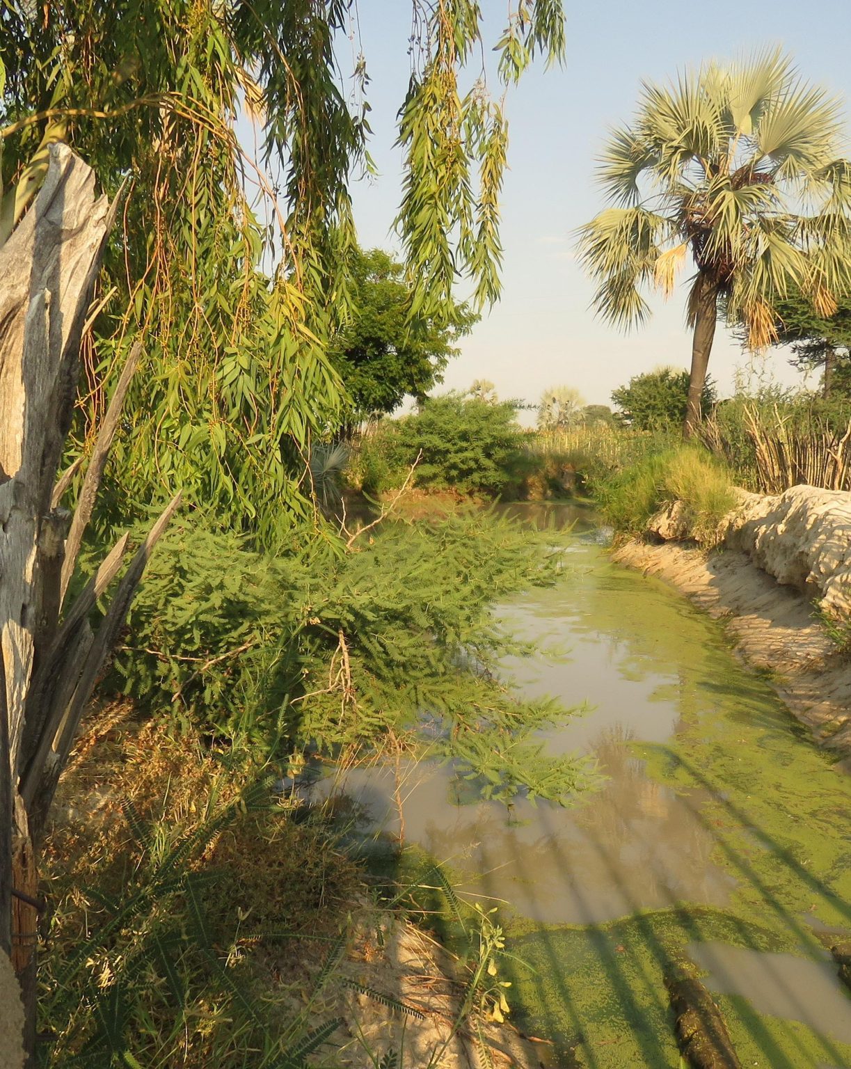 Namibia welcomes sound environmental decisions to safeguard the ...