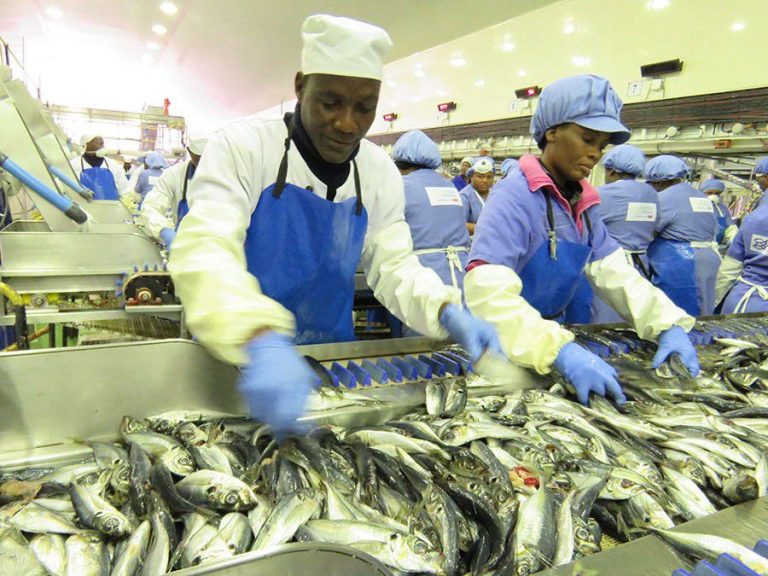 Etosha Fishing lands first pilchards after eight year moratorium - News ...