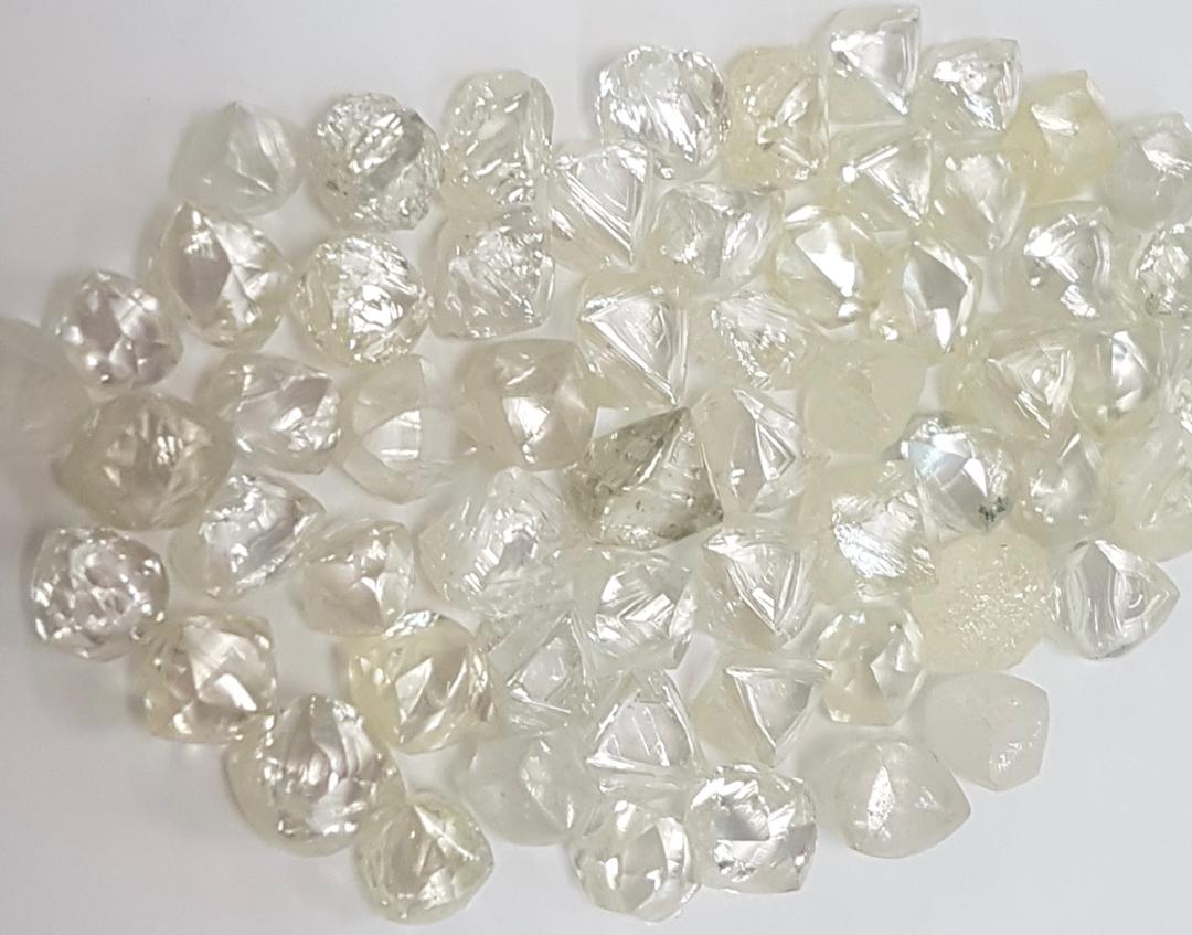 Swapo candidate Dino Ballotti rejoins NIPDB amid campaign speculation ...