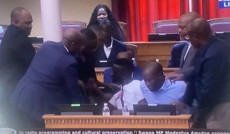 AR members kicked out of parliament - News - The Namibian