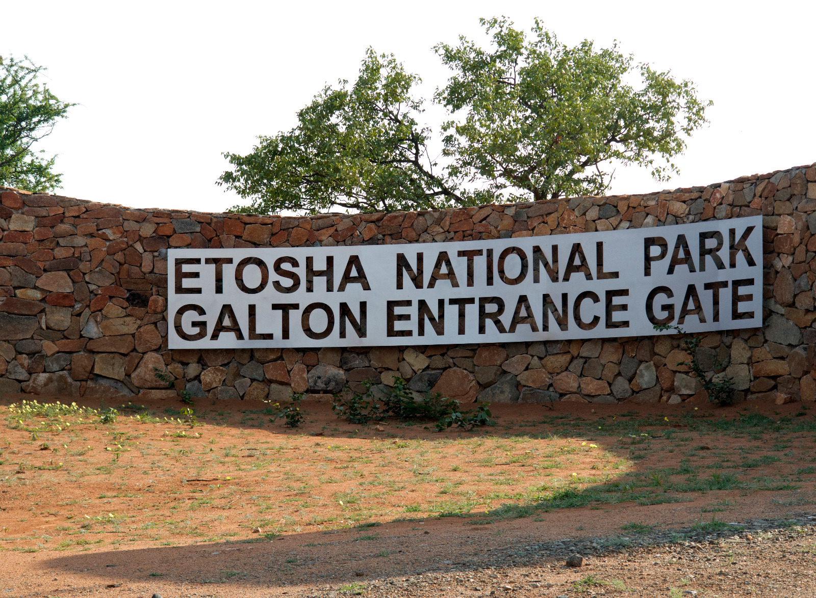 Demystifying Social Security - The Namibian