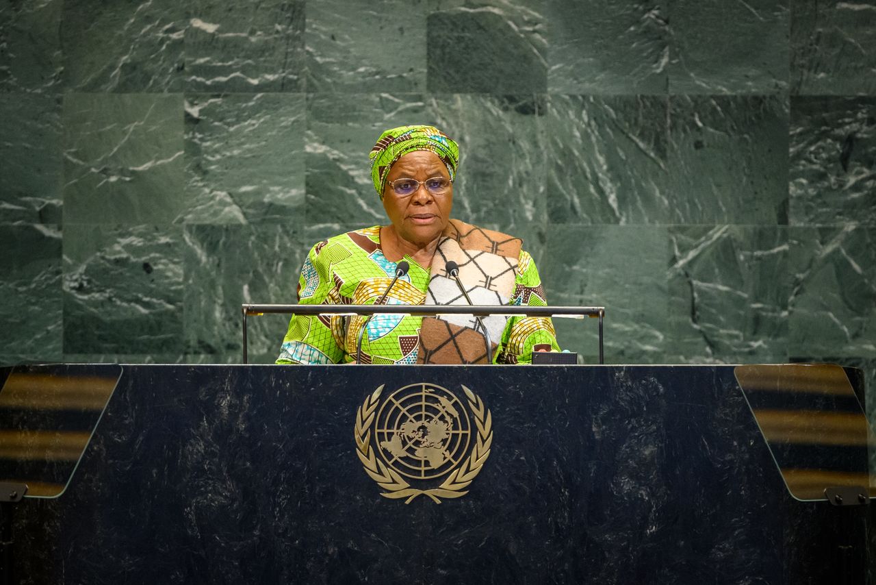 Africa Reaffirms Call for Permanent Representation on UN Security ...