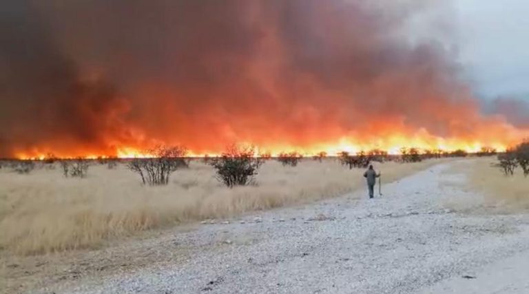 Fire from neighbouring farm spreads to Etosha National Park - News - The Namibian