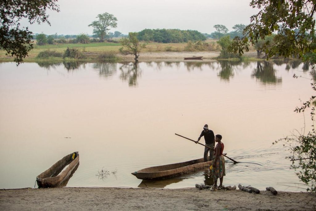 Police seize 1 238kg of illegally caught fish at Zambezi - News - The ...