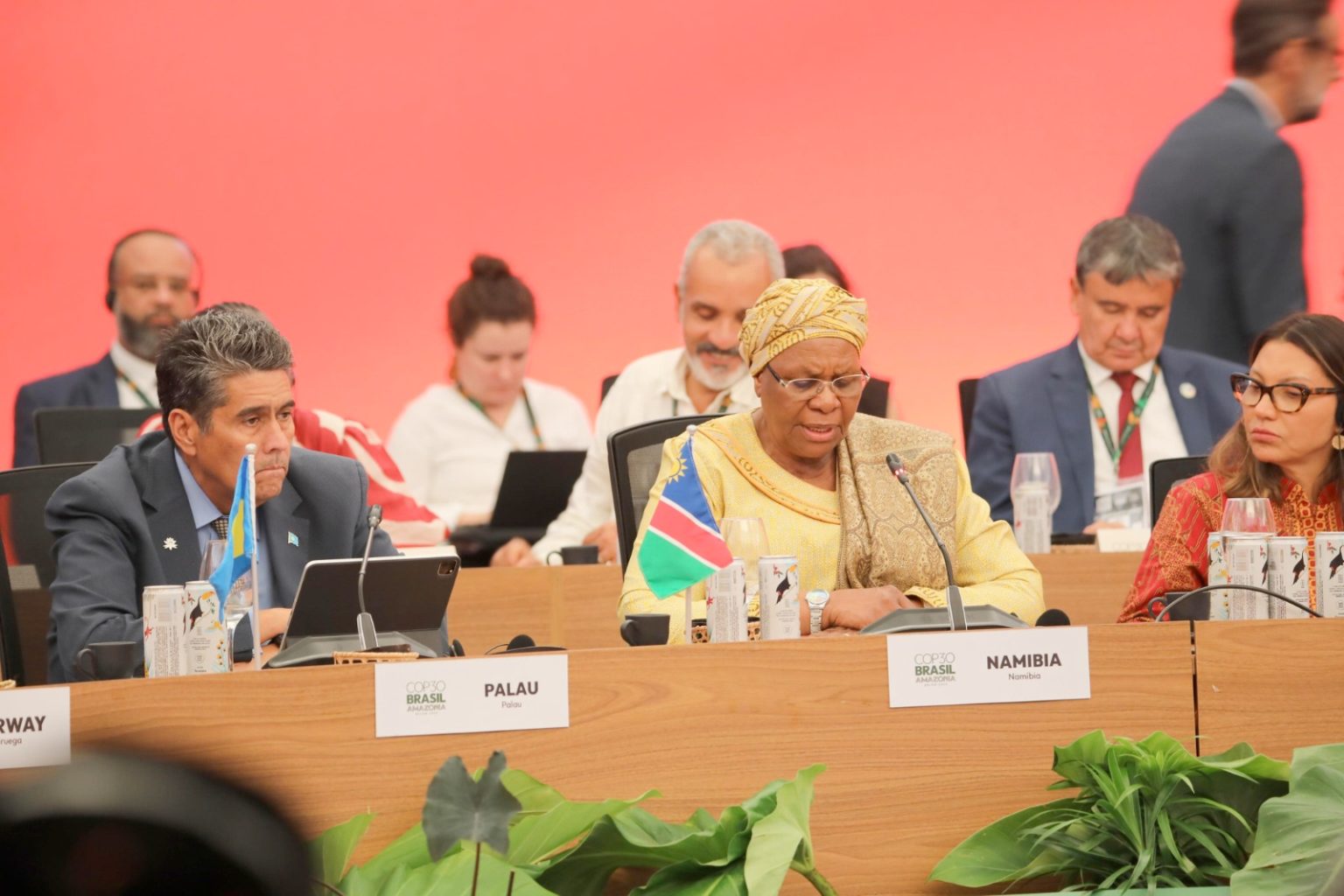 Namibia needs N$285 billion to meet climate goals - News - The Namibian