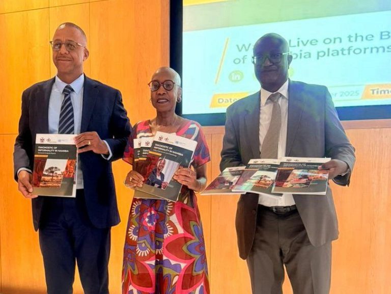 Namibia’s informal sector worth US$13 billion, contributes 26.5% to GDP ...