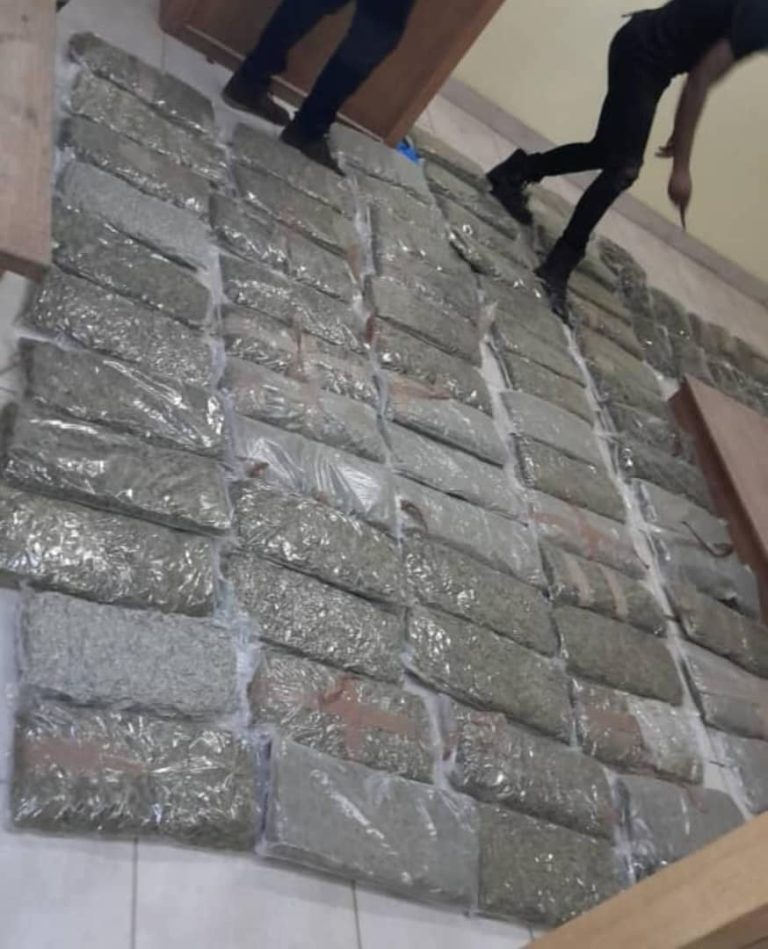 South African woman arrested after N$5-million drug bust at Ariamsvlei ...