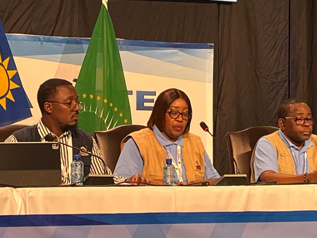 ECN urges candidates to accept election results - More Top Stories 1 ...