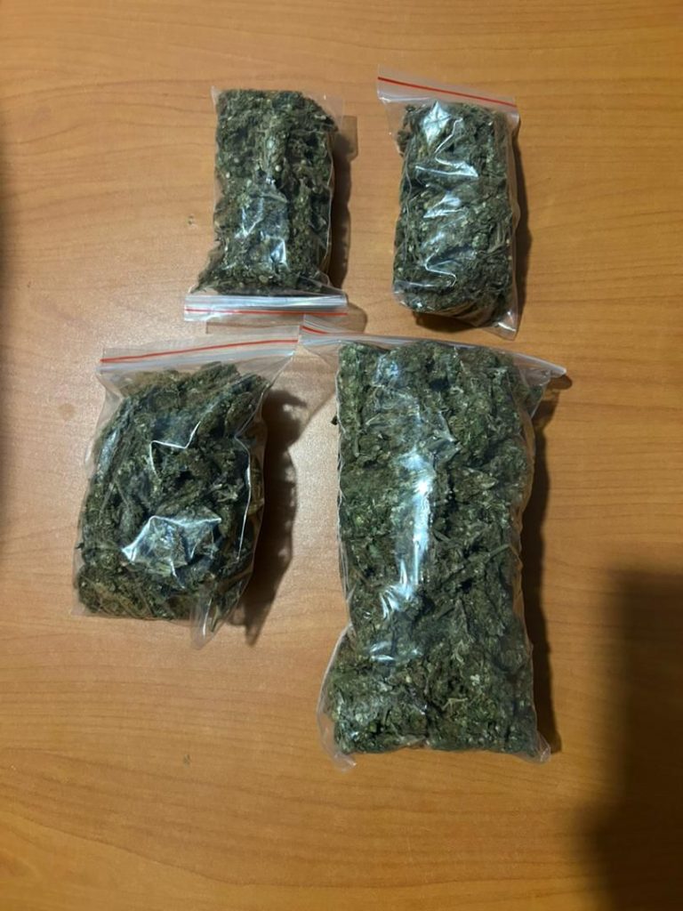 Erongo police weed out cannabis worth N$80 000, two arrested - More Top ...