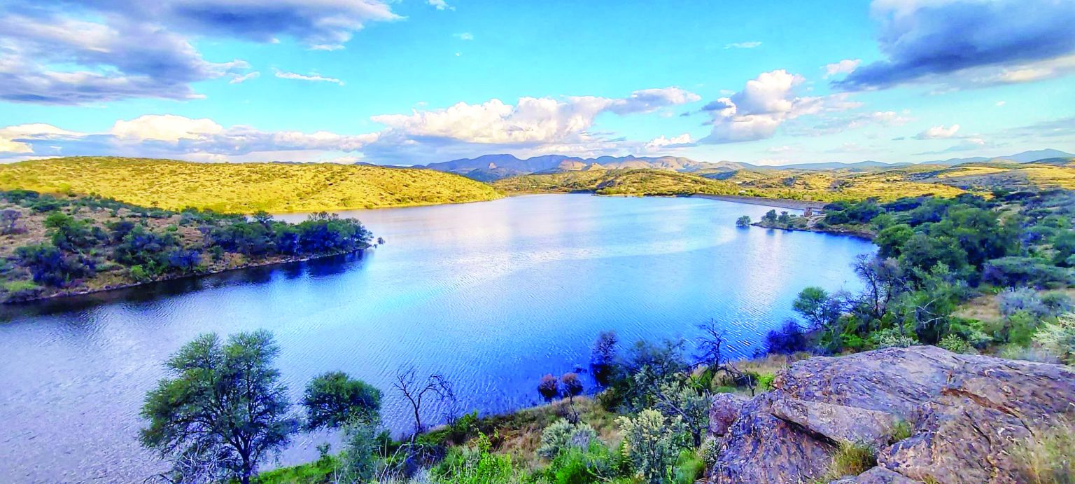 Greenspace: The volunteer group safeguarding Avis Dam - Environment ...
