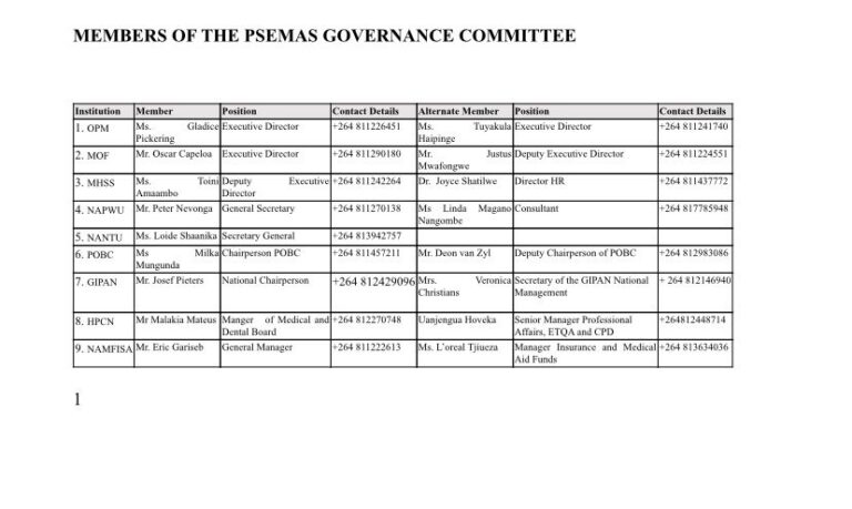Govt inaugurates new Psemas governance committee - News - The Namibian