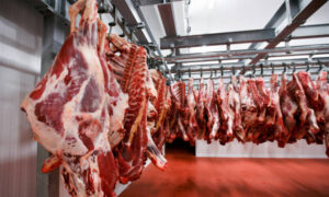 Savanna Beef gets certificate to export beef to EU and UK - News - The ...