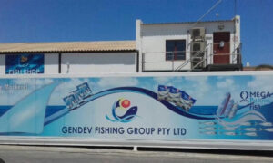 Forensic probe ordered into Swapo fishing company Gendev - News - The ...