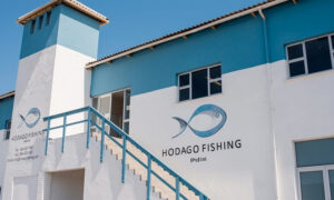 High Court orders auction of Hodago Fishing vessel - News - The Namibian
